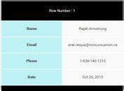 Performant Data Table Plugin With JQuery Dgtable Free JQuery Plugins