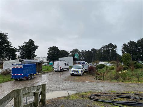 Christchurch Missing Real Estate Agent Yanfei Bao Police Start New