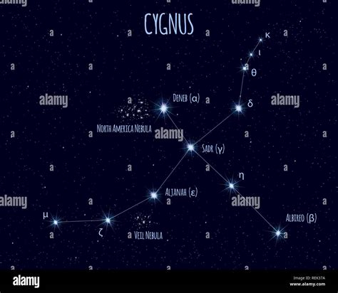 Carte De La Constellation De Cygnus Banque Dimages Vectorielles Alamy