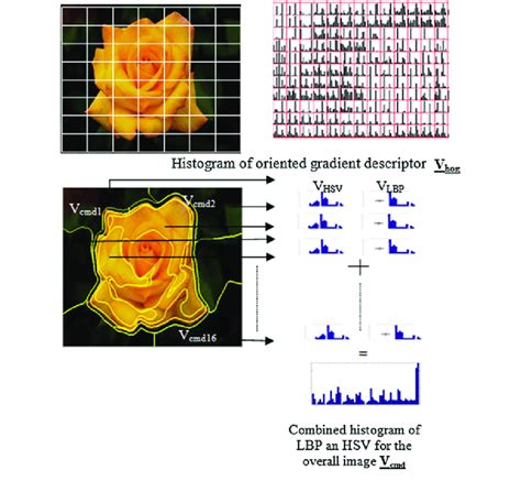Example Of Extraction And Combined Of The Feature Download Scientific Diagram