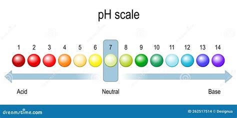 Ph Scale Chart Of Ph Value Stock Vector Illustration Of Medicine Analysis 262517514