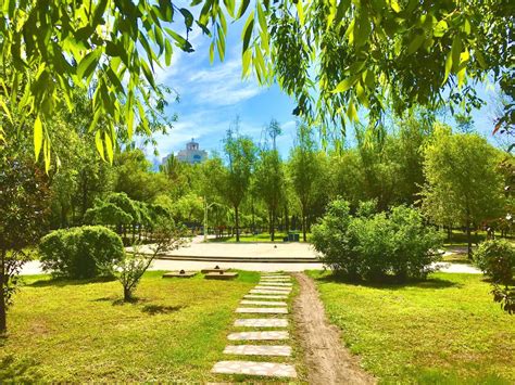 公园 随手拍新影像 不止所见 花粉俱乐部