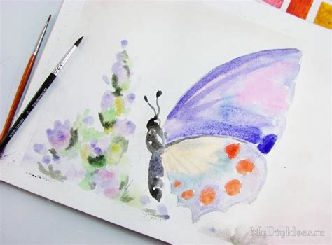 Як намалювати метелика малюємо мтелика поетапно малюнок метелика адмірал