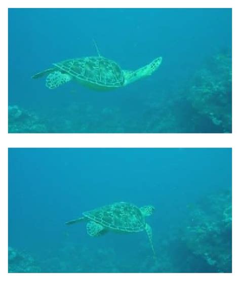 Results Of Close Moving Object Detection A Original Images B