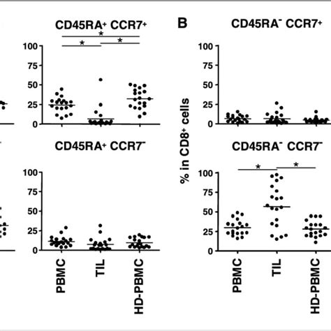 Distribution Of Differentiation Subsets According To Cd45ra And Ccr7 Download Scientific