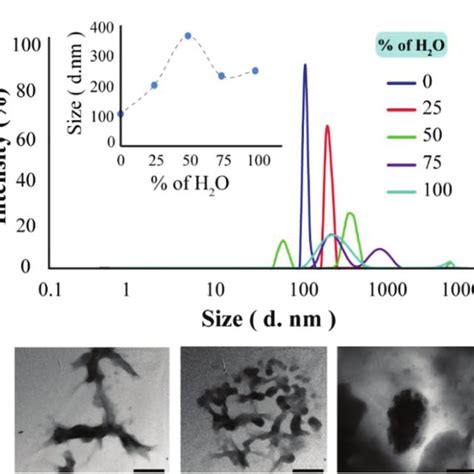 A Dls Based Particle Size Analysis Of L 1 In The Mixed Solvent System