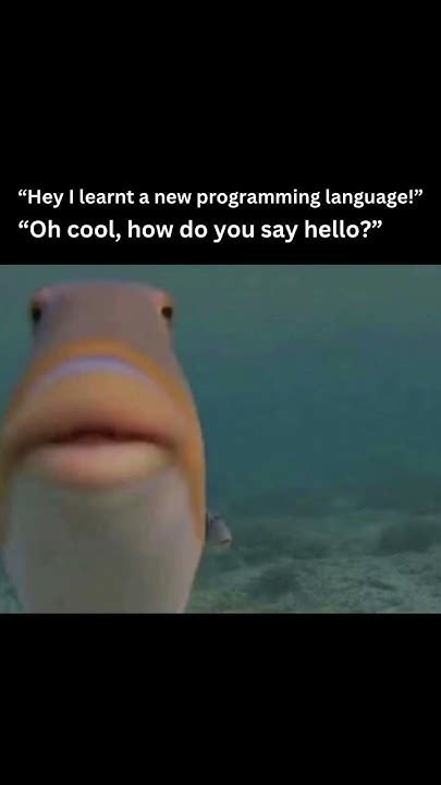 Learning A New Programming Language Youtube