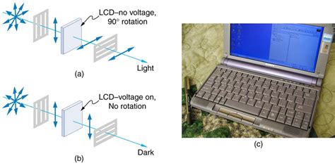 Polarization Physics