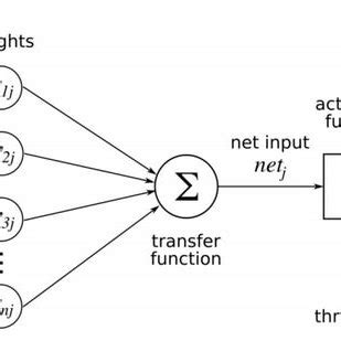 Simple Neuron Model Structure With An Activation Function Download Scientific Diagram