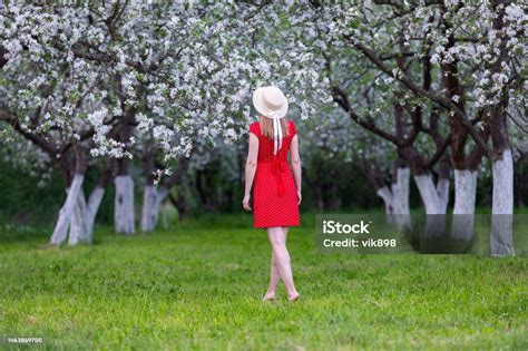 꽃과 녹색 잎으로 덮인 사과의 봄 풍경 모자를 쓴 소녀 빨간 드레스가 잔디밭에 서 있습니다 아름답고 무성한 꽃이 만발한 사과 나무에는 꽃이 흩어져 있습니다 자연 경관 30