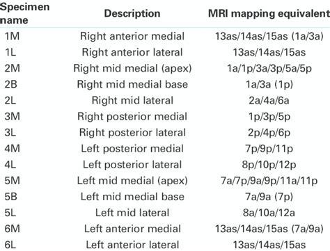 Conversion Table Of The Anatomic Prostatic Mri Zones Pi Rads Mapping Download Table