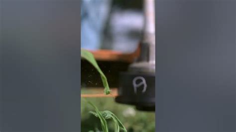 Cutting Grass With A Brush Cutter In Slow Mo ბენზოცელი მოტოცელი სათიბი ბალახის სათიბელა