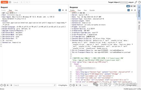 Burpsuite指纹特征绕过插件 知乎
