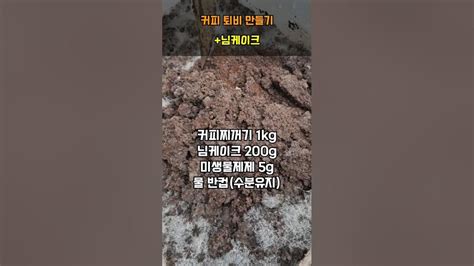 커피퇴비 만들기 각종벌레 부터 달팽이까지 싹 사라집니다 해충퇴치방법 Youtube