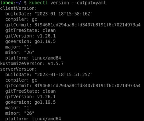 Kubernetes Client And Server Version Kubernetes Troubleshooting Labex