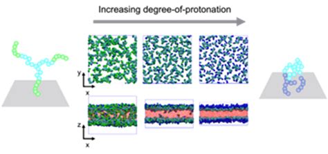 Publications Benjamin Doughty