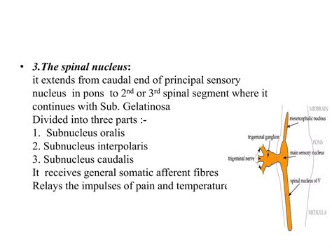 Trigeminal Neuralgia Pptx