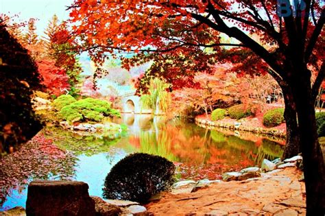 이렇게 아름다운 줄 몰랐네 10월 가기 좋은 단풍명소