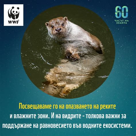 Wwf Bulgaria 🌍💡 Часът на Земята съвпада със Световния ден на водата тази година Всички знаем