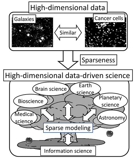 Initiative For High Dimensional Data Driven Science Through Deepening Of Sparse Modeling