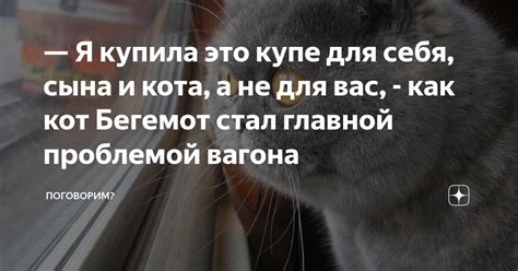 Я купила это купе для себя сына и кота а не для вас как кот Бегемот стал главной проблемой
