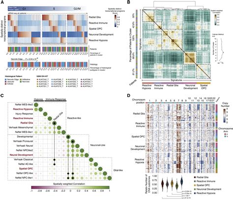 Spatially Resolved Multi Omics Deciphers Bidirectional Tumor Host Interdependence In