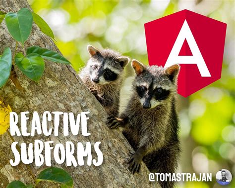 How To Reduce Code Duplication Reactive Sub Forms In Angular Rangularjs