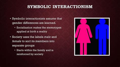Chapter 9 Inequalities Of Gender And Sexual Orientation Ppt Download