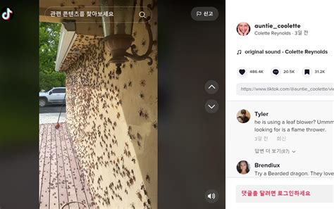 美 네바다주 도시 뒤덮은 모르몬 귀뚜라미 떼잠도 못자 나무뉴스
