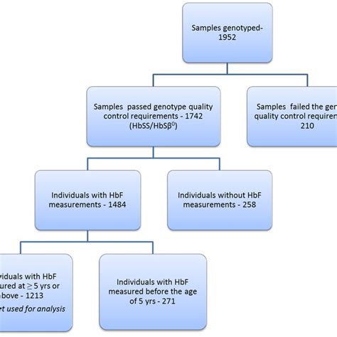 A Flow Chart Diagram Showing The Flow Of Samples At Different Stages Of Download Scientific