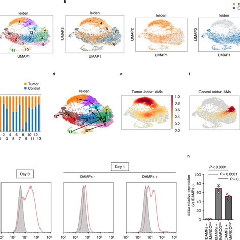 Single Cell Rna Seq Identifies A Subtype Of Tumor Supporting Alveolar