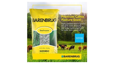 Barenbrug Beefmaster Cattle Pasture Grass Seed Mix