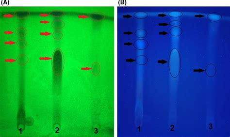 Tlc Chromatograms Of The Methylene Chloride Extract Of A Sydowii