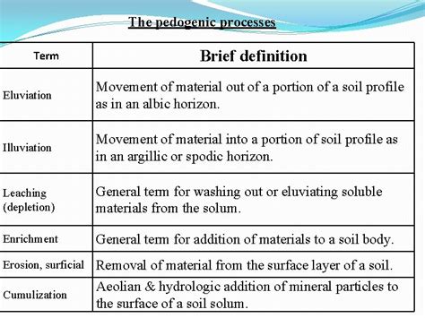 Soil Formation Pedogenesis The Pedogenic Processes Term Brief