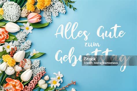 독일어 인용문 생일 축하합니다 생일 축하합니다 소셜 미디어를 위한 손으로 그린 글자 생일에 대한 스톡 사진 및 기타 이미지 생일 꽃 식물 축하하기 Istock