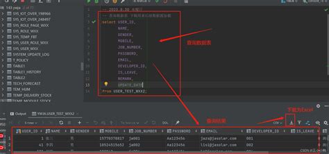 Apex数据源加载实现excel表数据导入及自定义存储过程oracle Apex 创建数据加载页面 Csdn博客