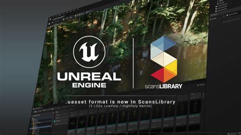Scanslibrary On Linkedin Ue5 Ue4 Unrealengine Gamedev Photogrammetry