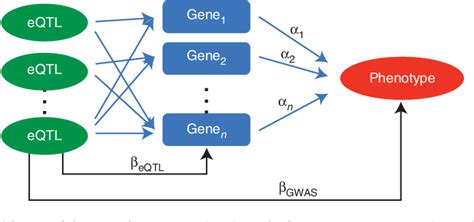 Figure 1 From Causal Inference Methods To Integrate Omics And Complex Traits Semantic Scholar