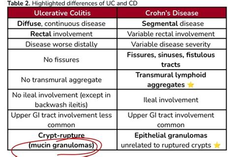 4 07 Colon Appendix Anus Flashcards Quizlet