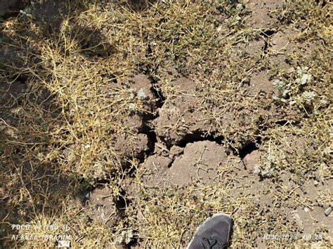 Albraa Ibrahim On Linkedin Buildingsettlement Foundationweakness Constructionchallenges