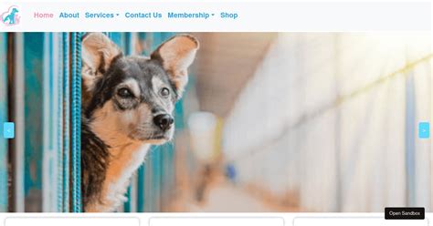 React Bootstrap Navdropdown Active Examples Codesandbox