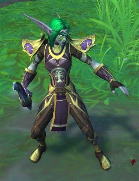 Kaldorei Scout Npc World Of Warcraft