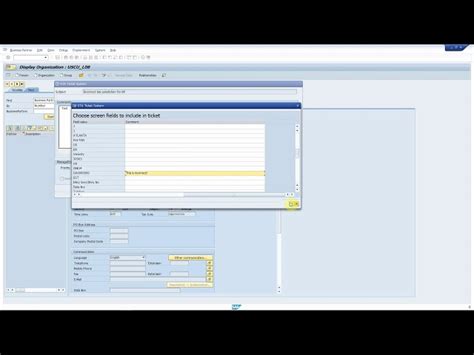 SAP ITSM Integration Videos STA Consulting