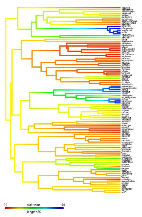 New Method For Visualizing Trait Evolution On A Tree Anole Annals