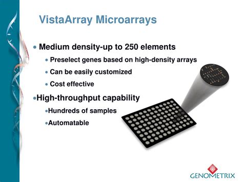 Ppt Microarray Principles Applications Powerpoint Presentation Id