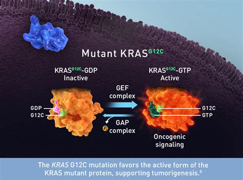 Targeting Kras G12c Amgen Oncology