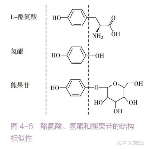 在医生眼里有什么真正一劳永逸的变白方法 知乎