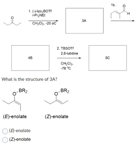 What Is The Structure Of 3a E Enolate Z Enolate