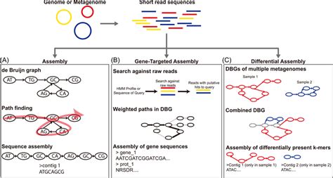 Illustration Showing Different Applications Of De Bruijn Graphs In