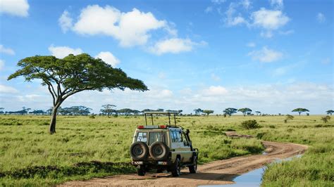 África Welcome Trips